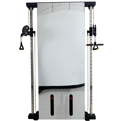 Wall Mounted Functional Trainer – Stryve